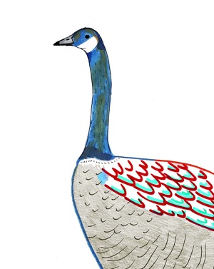 Ashley Percival Illustrator