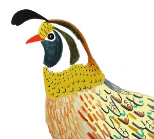 Ashley Percival Illustrator