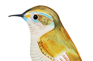 Ashley Percival Illustrator